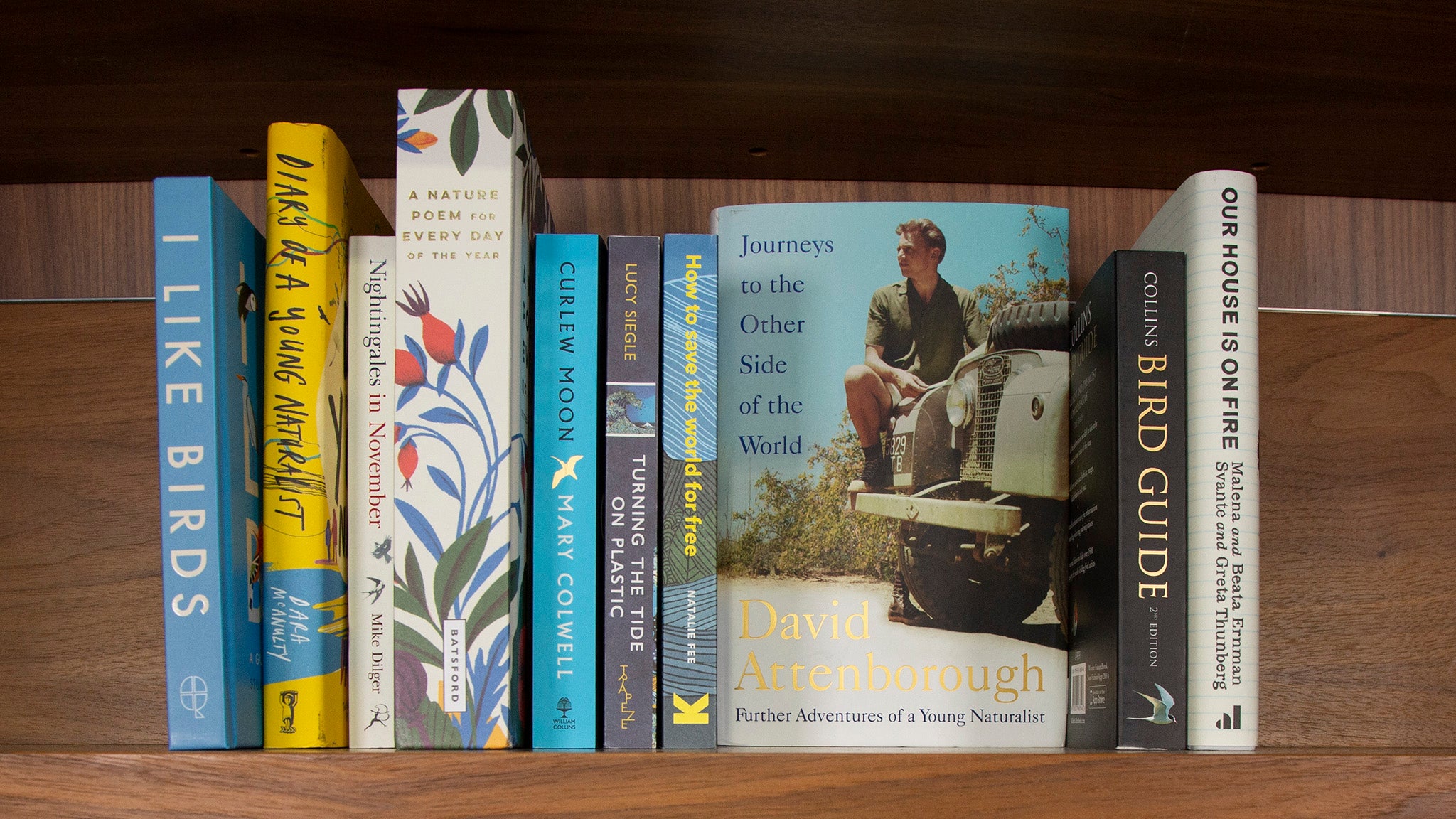 Nature & Bird Lovers Book Collection | Identification Guides | WWT