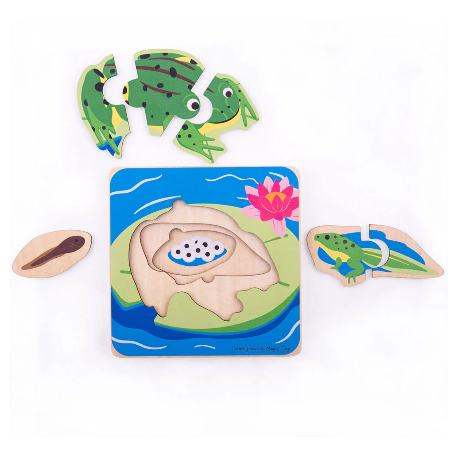 Frog layer puzzle | Wooden Educational Toy for Kids | WWT