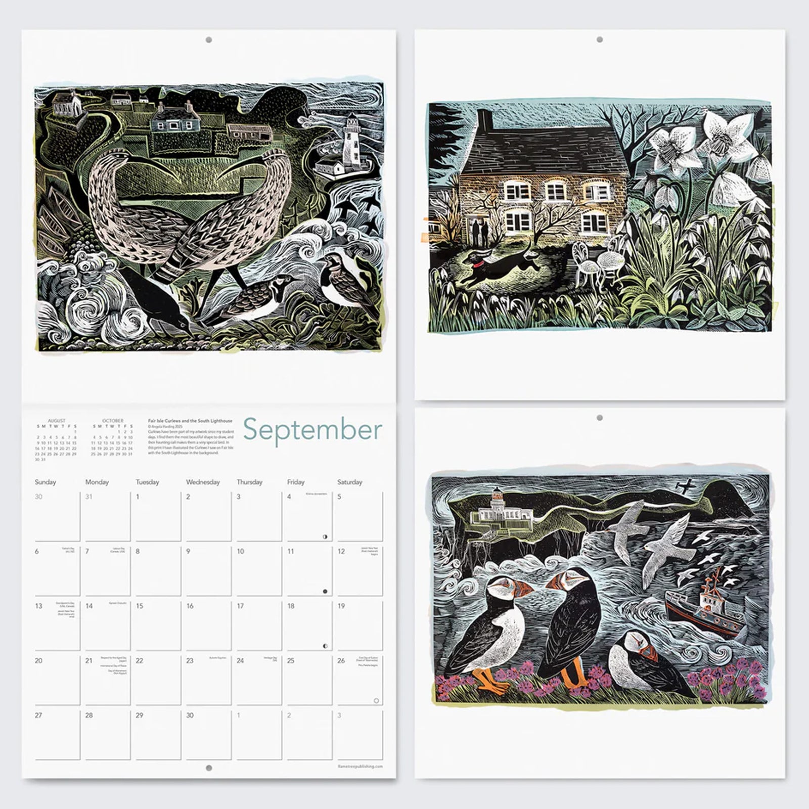 Angela Harding Wall calendar 2026 | Calendars & Diaries | WWT