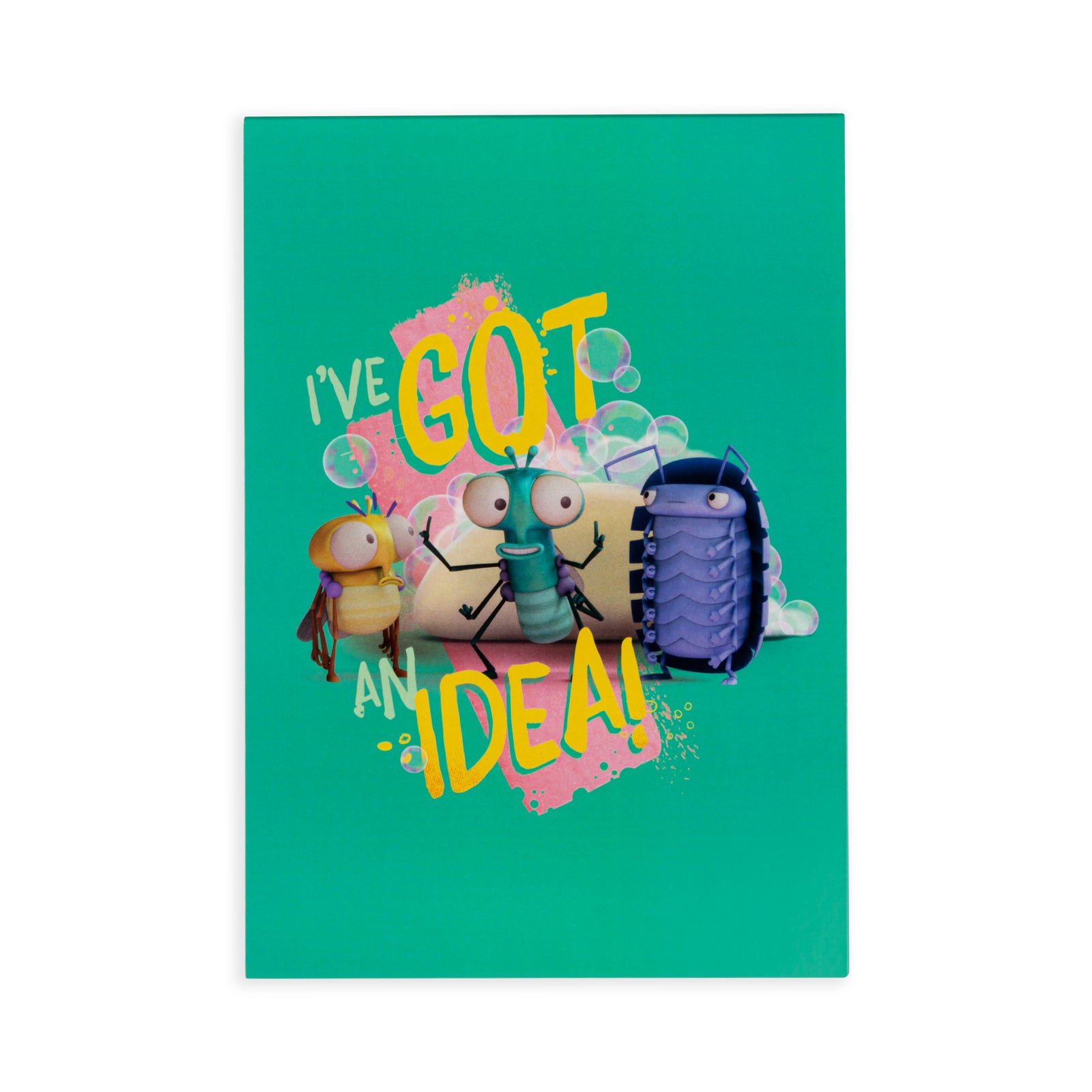 Lloyd of the Flies A5 notebook