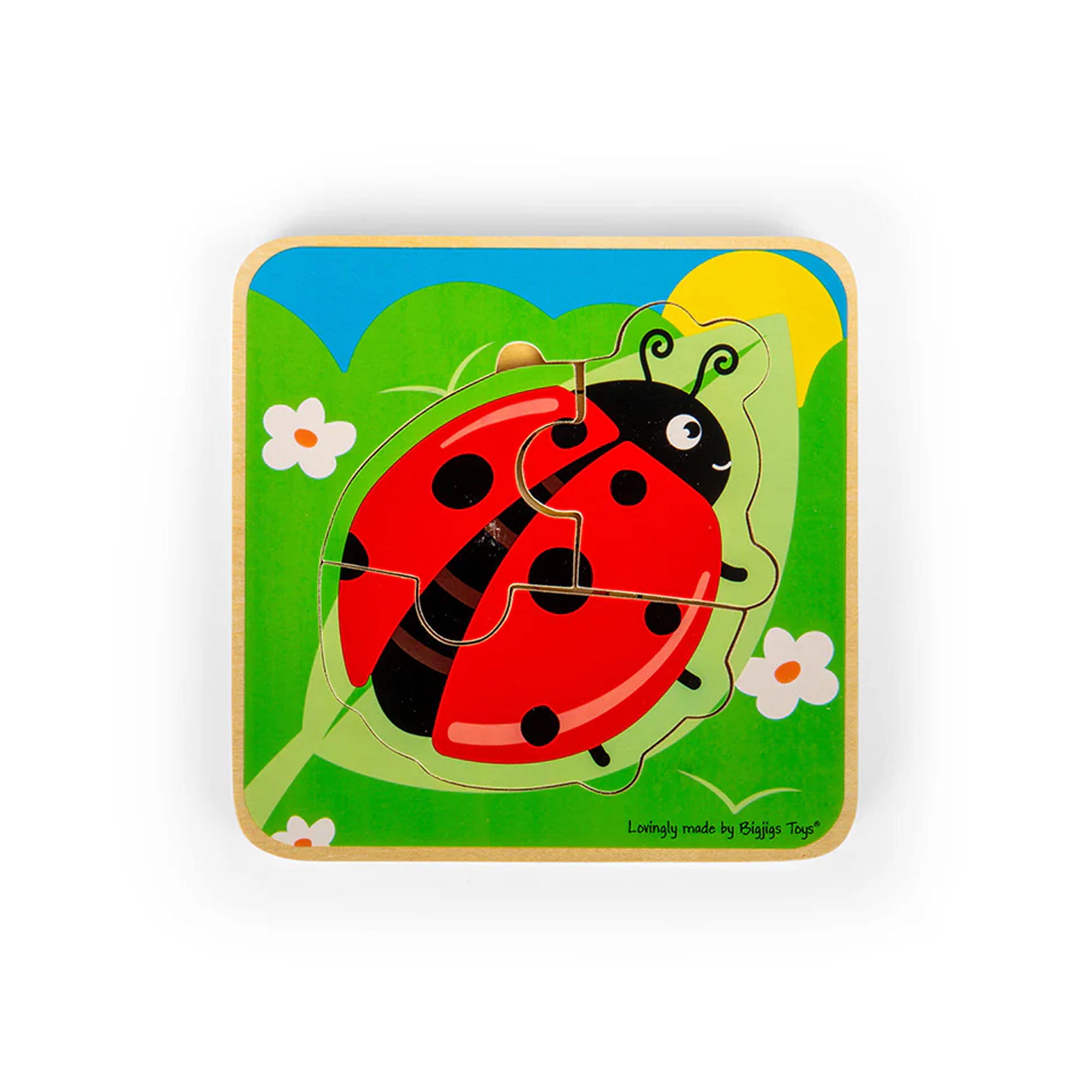 Ladybird layer puzzle | Wooden Educational Toy for Kids | WWT