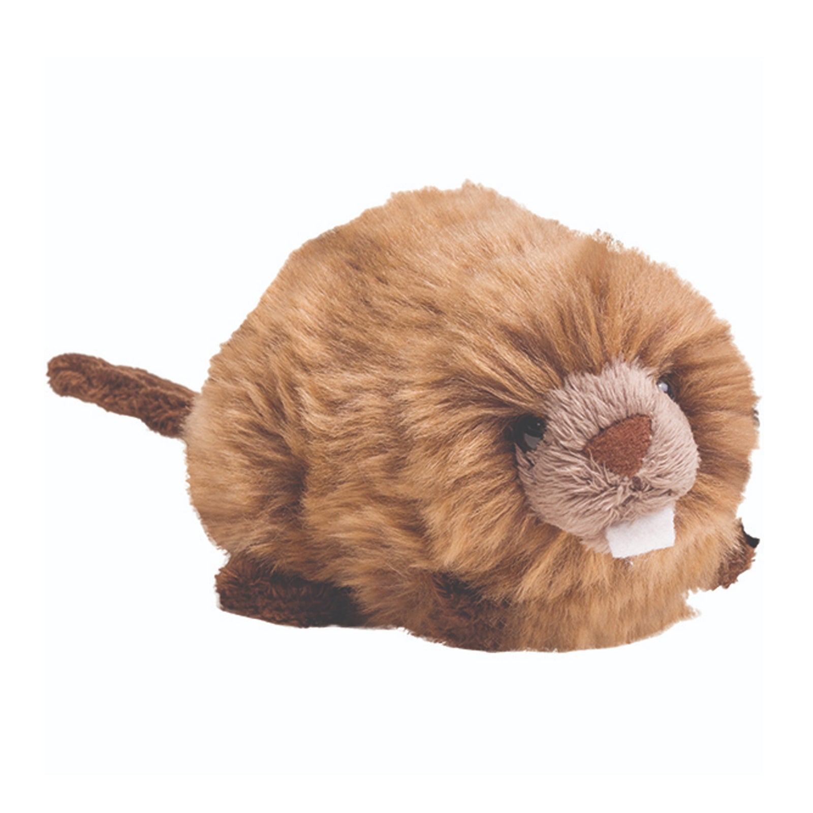 Beaver Soft Toy | Adorable Plush Woodland Animal for Kids & Gifts | WWT