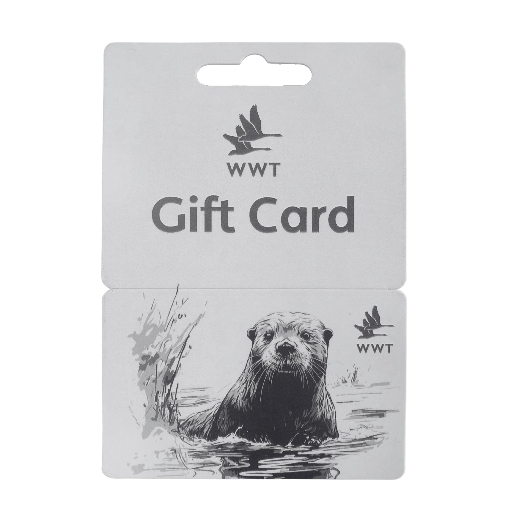 Christmas at WWT