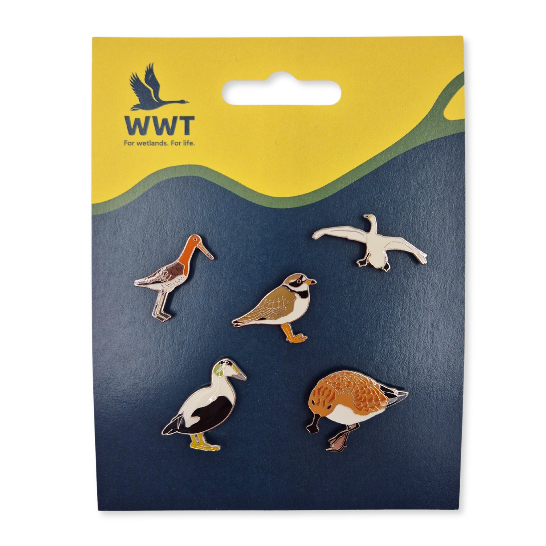 Wetland Bird Pin Badge Set – Eider, Spoon-billed Sandpiper & More | WWT